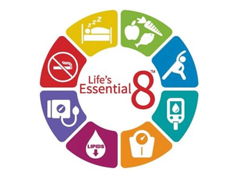 Healthy Living — The Essential 8 of Cardiovascular Health - Healthway ...